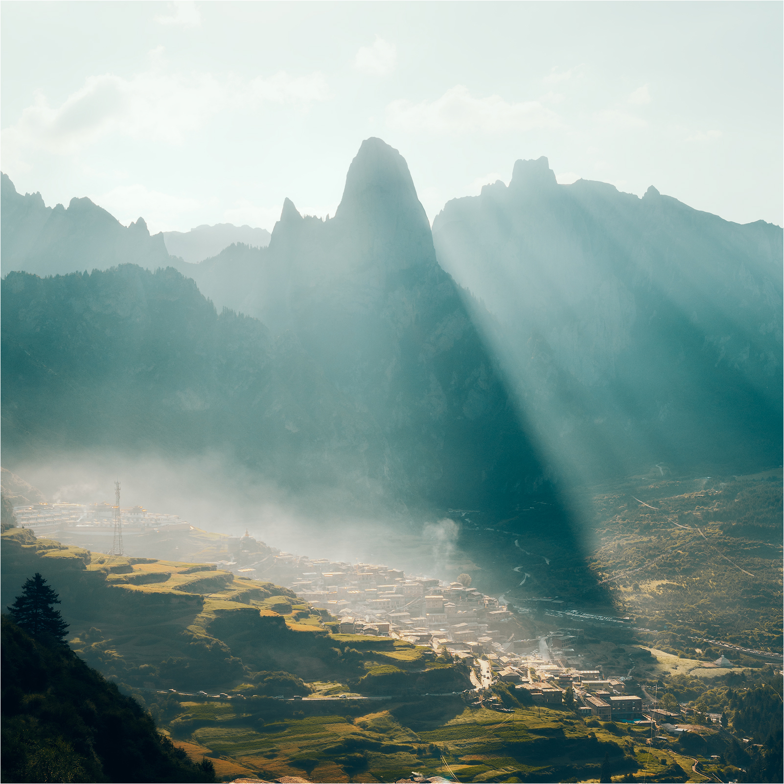 Shanmu Wang | 王山木